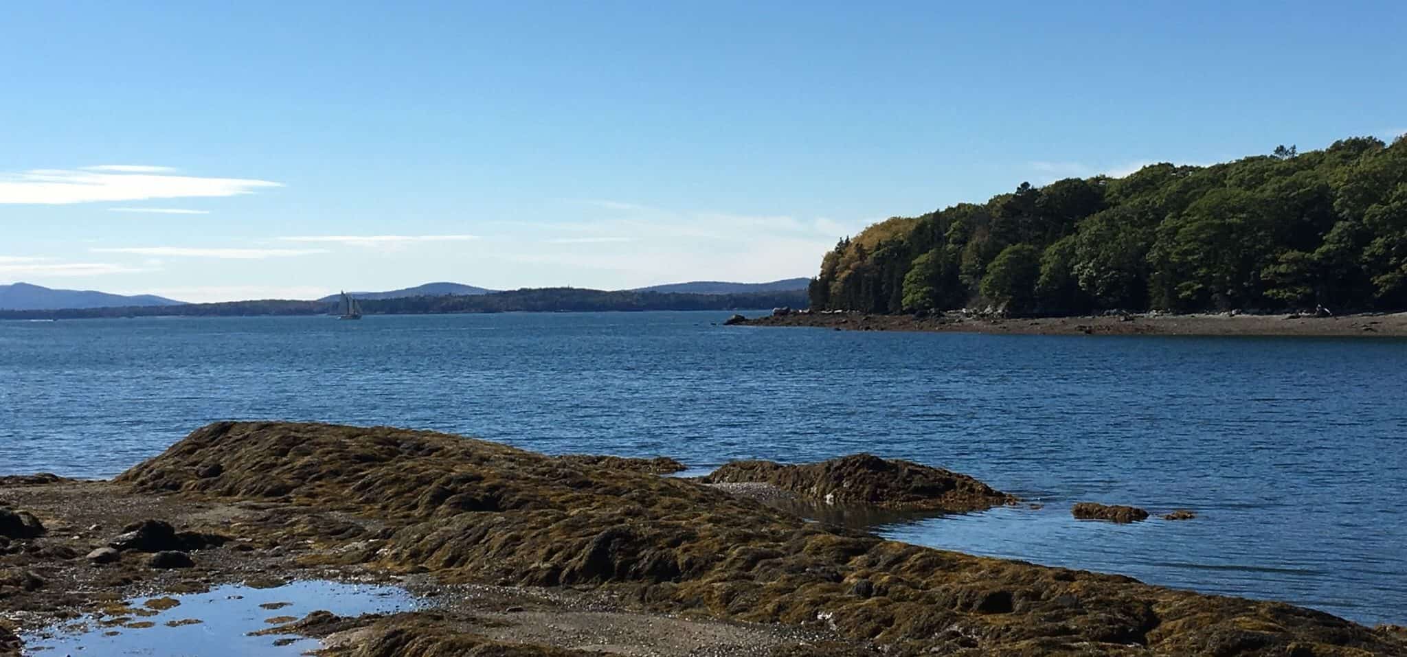 Visit Holbrook, Maine for Cruisers and Boaters | Where to Anchor, Moor ...