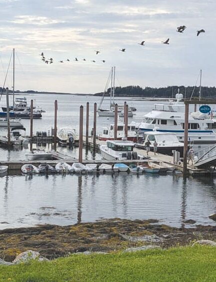 Visit Potts Harbor, Maine for Cruisers and Boaters | Where to Anchor, Moor, & Explore