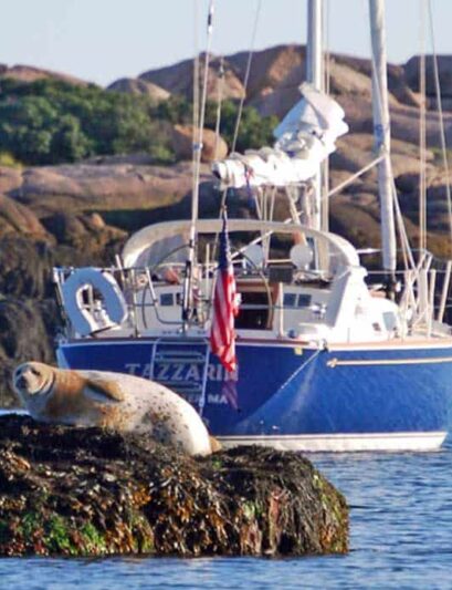Visit Mistake Island, Maine for Cruisers and Boaters | Where to Anchor ...