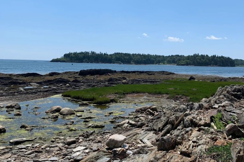 Visit Potts Harbor, Maine for Cruisers and Boaters | Where to Anchor, Moor, & Explore